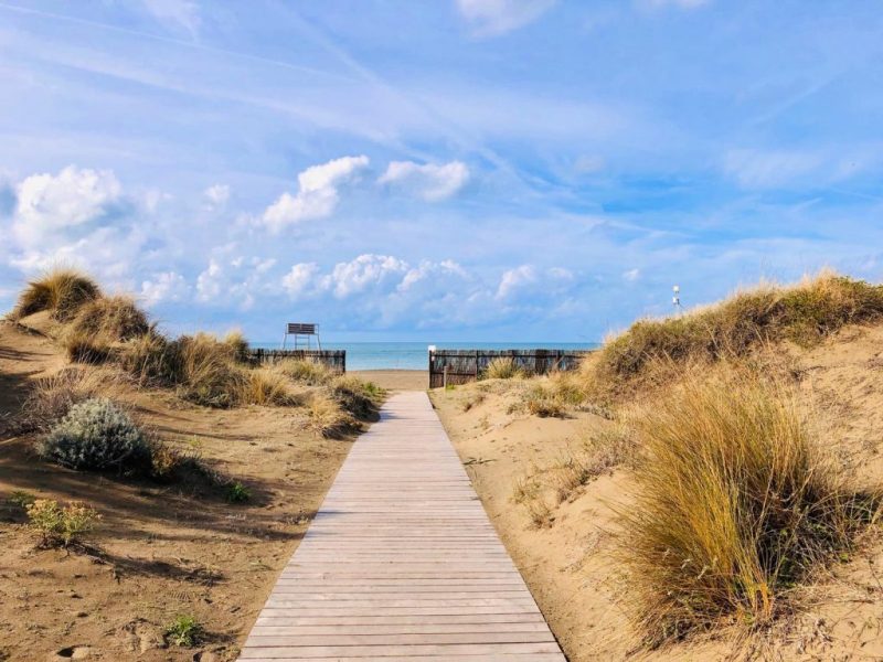 Marina di Castagneto Carducci: 5 things to do - SOMIRO Marina di Castagneto Carducci: 5 things to do - SOMIRO